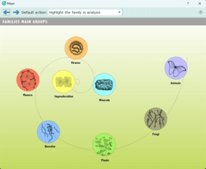 Maps in RadarOpus Homeopathy Software